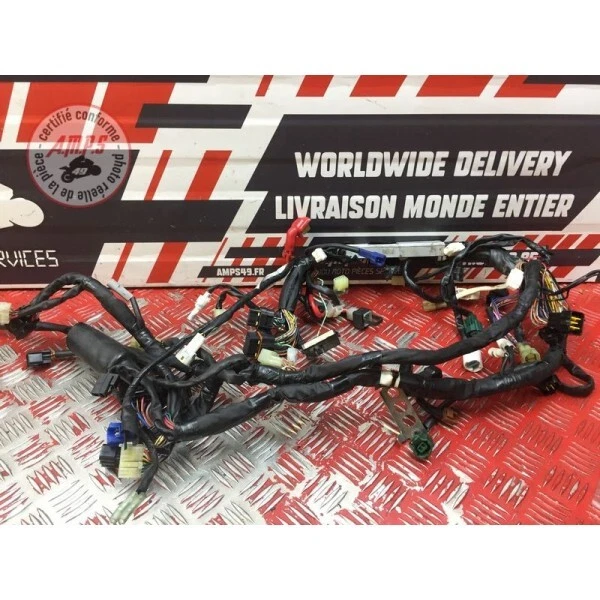 FAISCEAU ÉLECTRIQUE PRINCIPALE YAMAHA YZF-R6 600 2006 à 2007 EUR 152,95 - PicClick FR